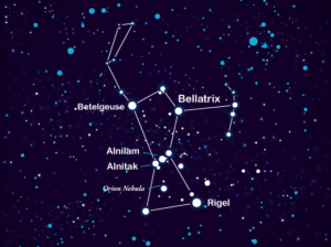 Bellatrix ⋆ Titi Vidal | Titi Vidal