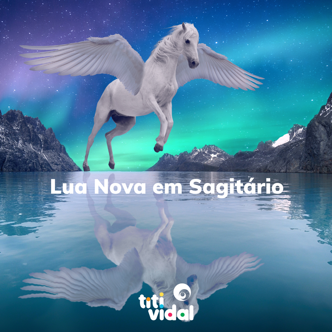 Lua Nova em Sagitário ⋆ Titi Vidal | Titi Vidal