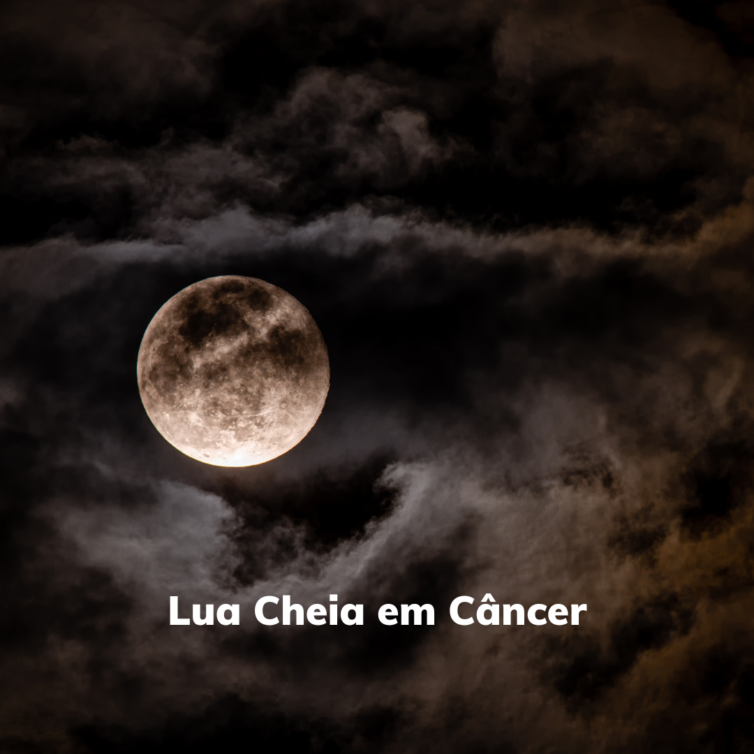 Lua cheia de acolhimento ⋆ Titi Vidal | Titi Vidal