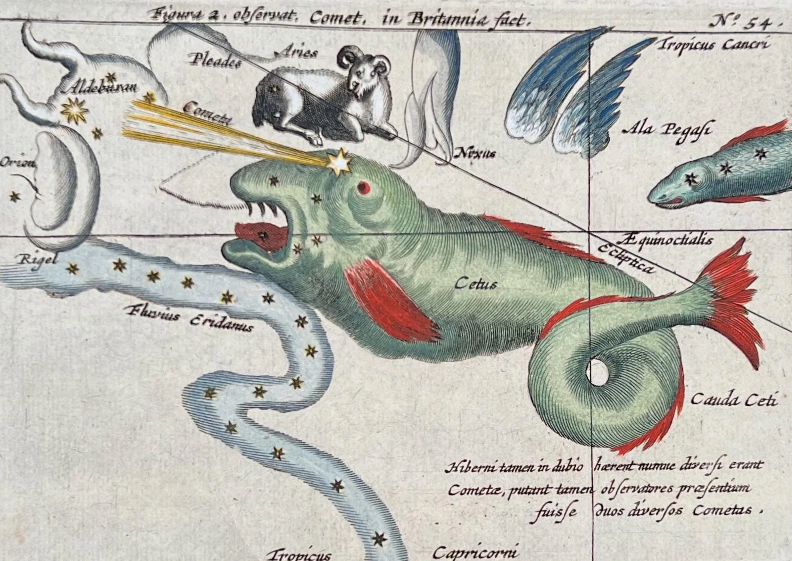 Menkar, alpha Ceti ⋆ Titi Vidal | Titi Vidal